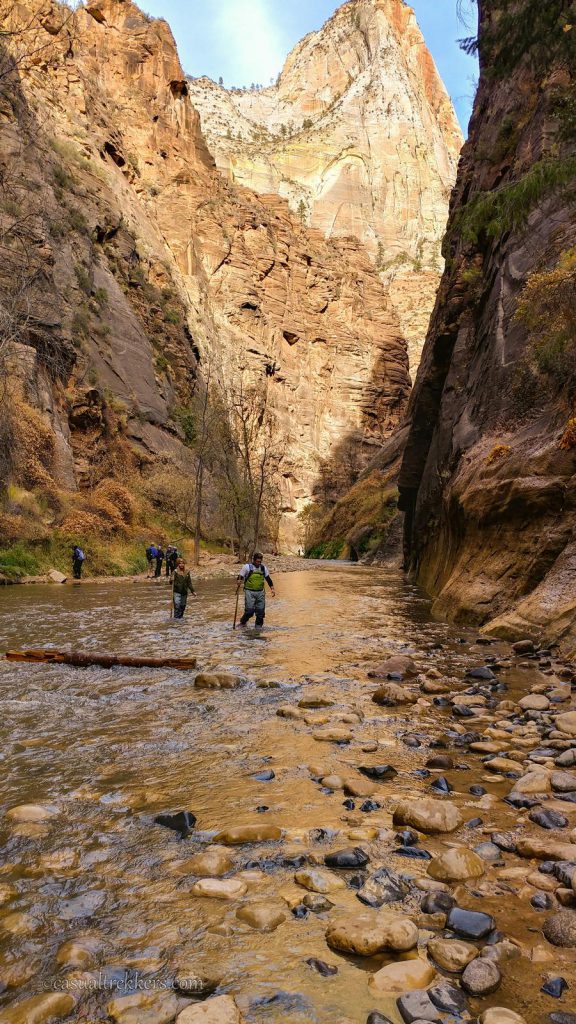Riverside Walk at Zion National Park - Casual Trekkers