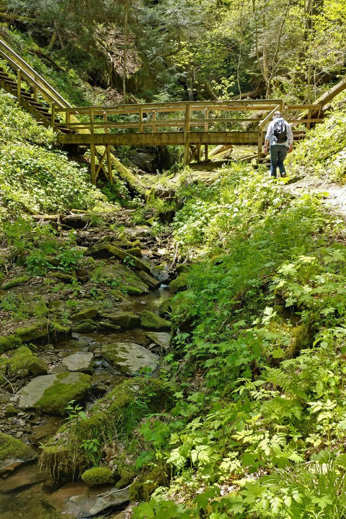 Piatt Park Hike - Casual Trekkers