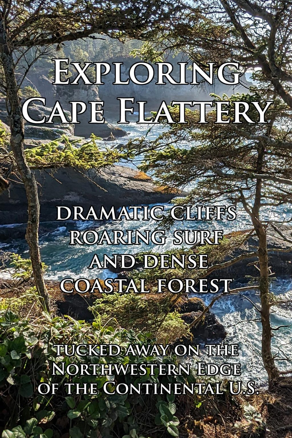 Exploring Cape Flattery